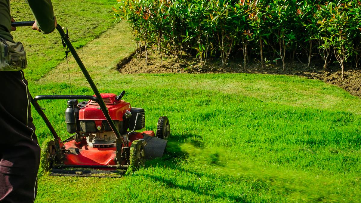 Lawn Mowing Cost Guide Airtasker AU