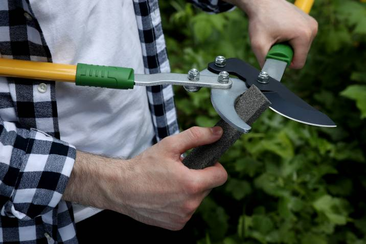 How to Sharpen Pruners | Airtasker US