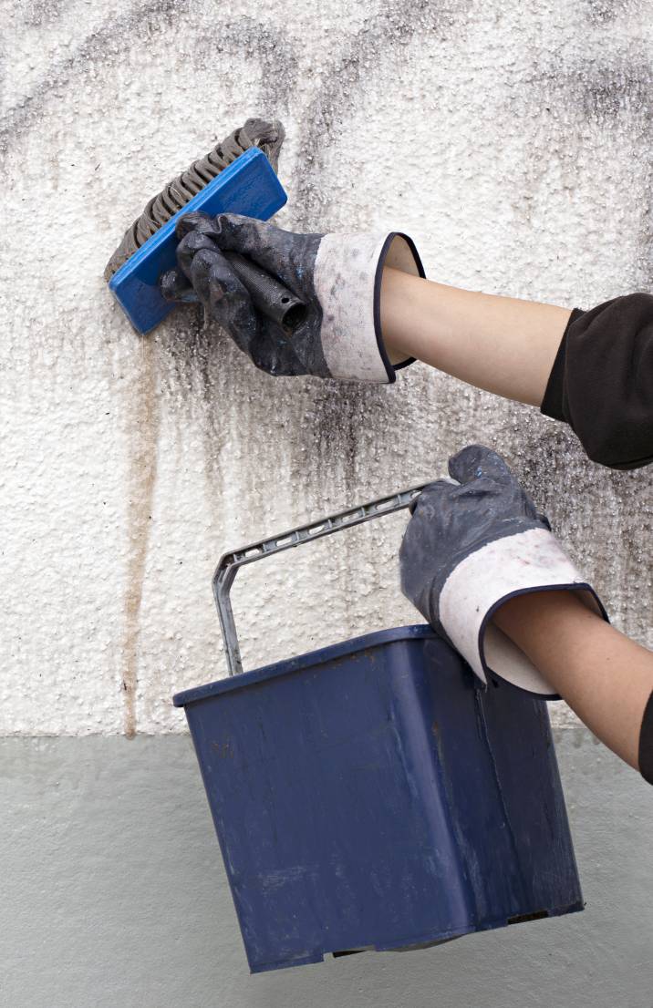 Graffiti Removal Cost Guide | Airtasker US