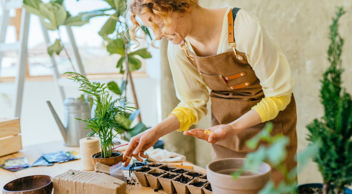 How to Make Money Gardening [25 Ideas] | Airtasker AU