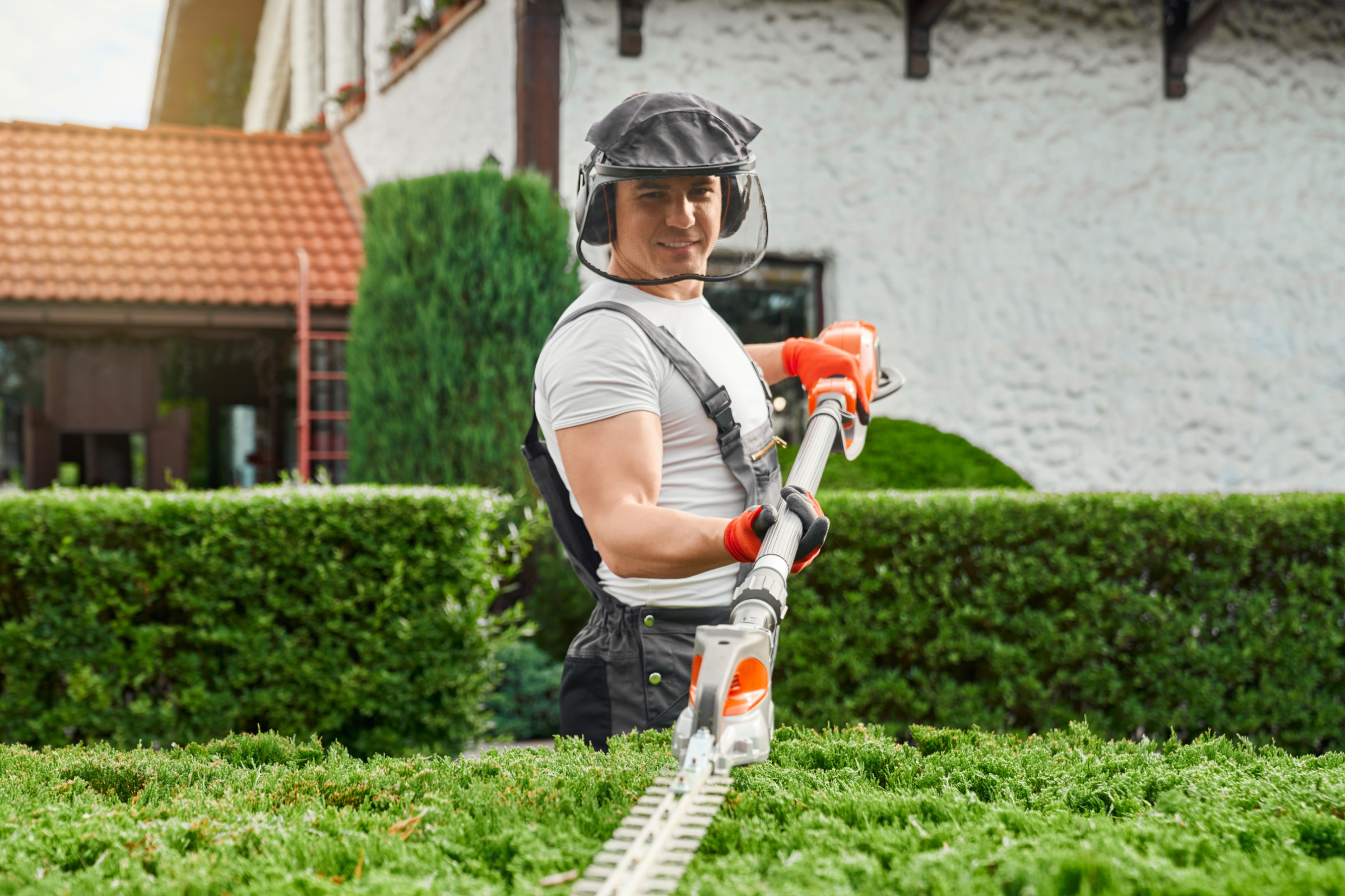 The 10 Best Rated Garden Hedging Experts in Adelaide | Airtasker AU