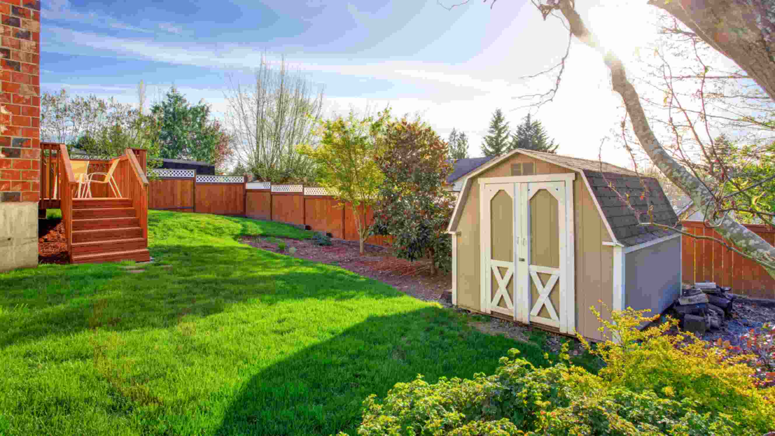 Timber Frame Shed vs. Steel Shed: How Do They Compare? | Airtasker US