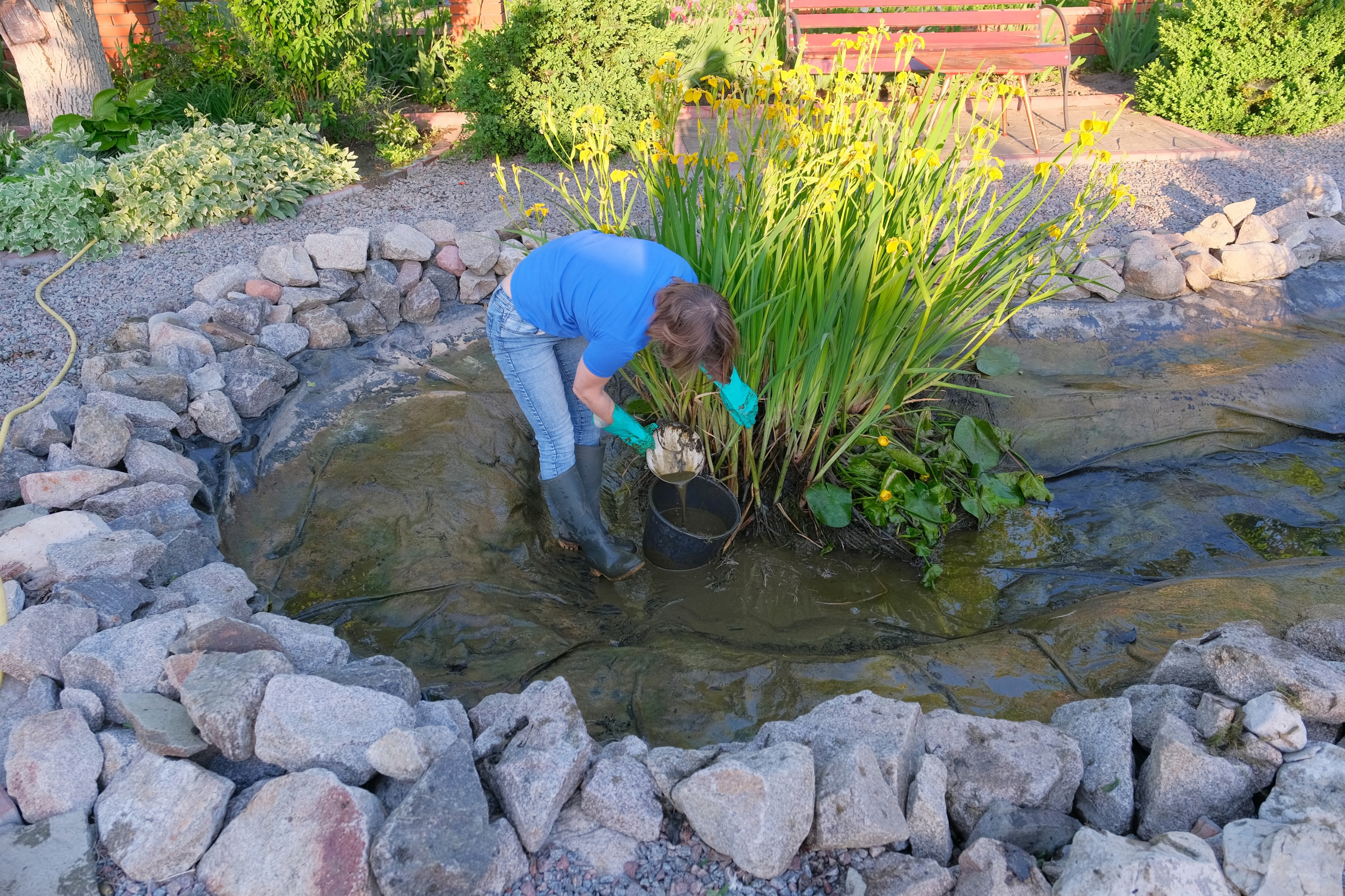 Garden Pond Maintenance near you | Airtasker SG