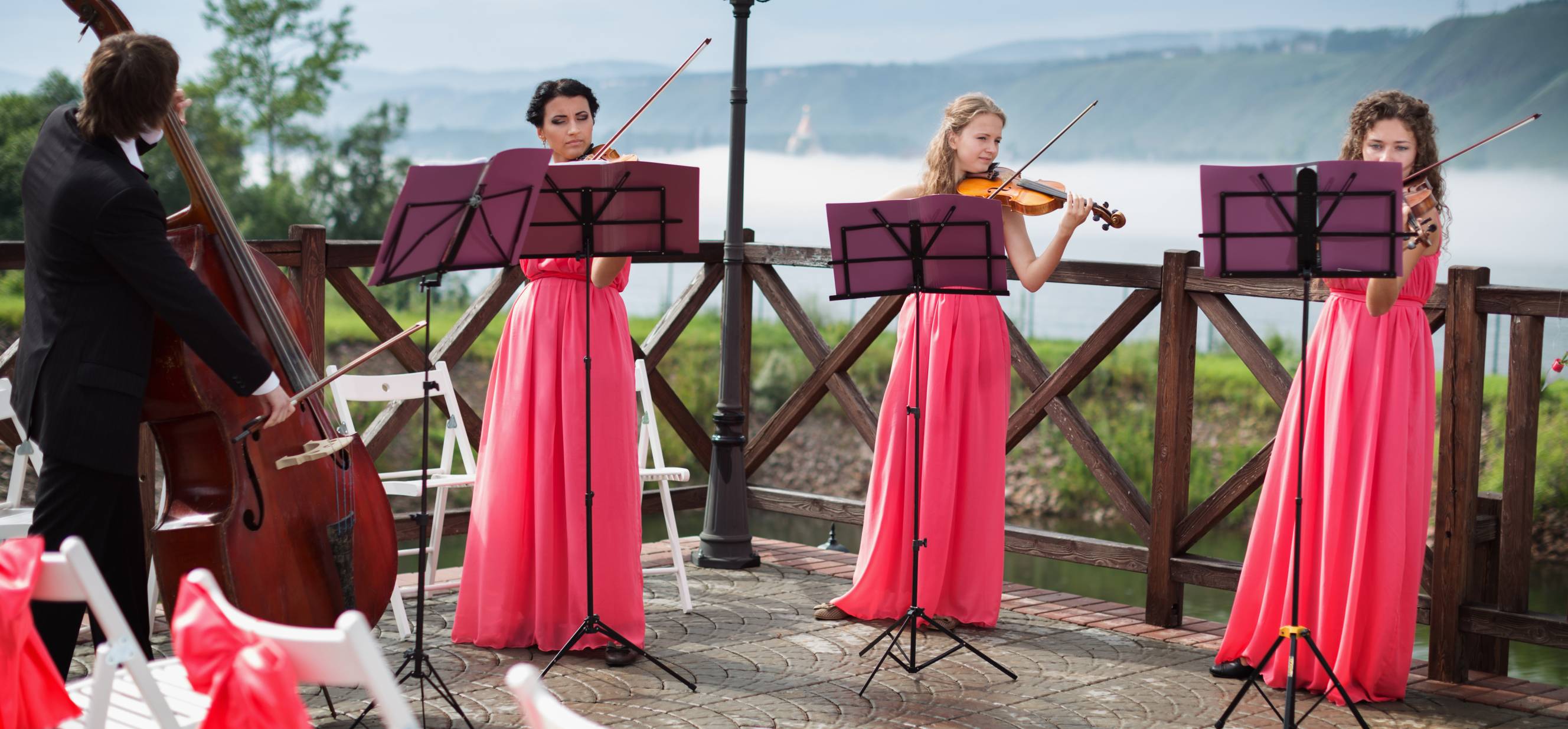 Wedding musicians 60 photos - Astyledwedding.com