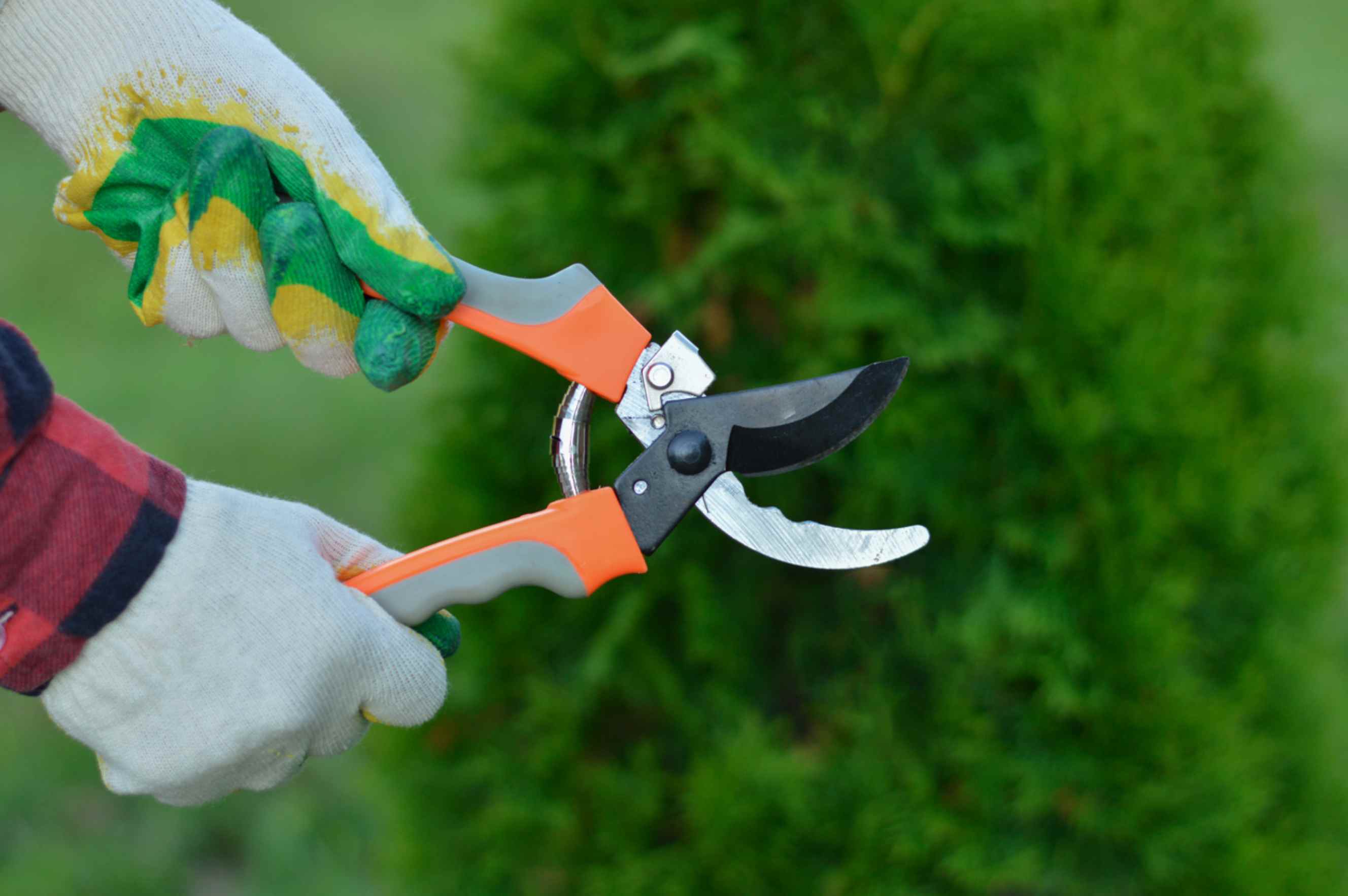Find Garden Tool Repair Services near you | Airtasker UK