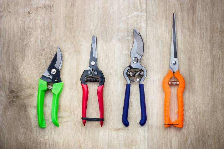 How to Sharpen Secateurs | Airtasker UK