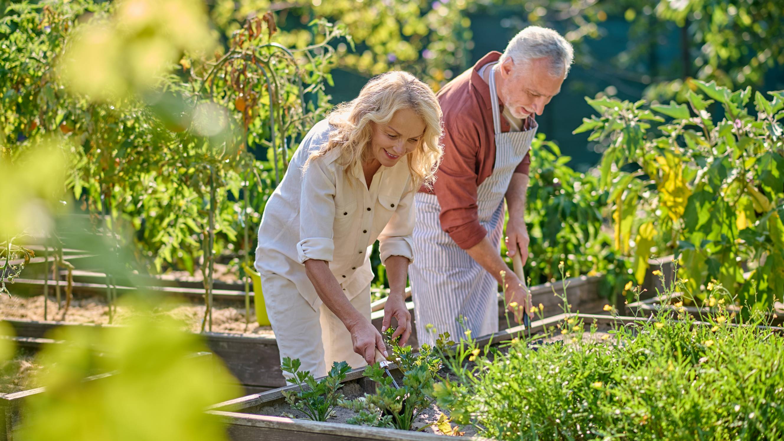 Practical Tips to Make Gardening Accessible for the Elderly | Airtasker UK