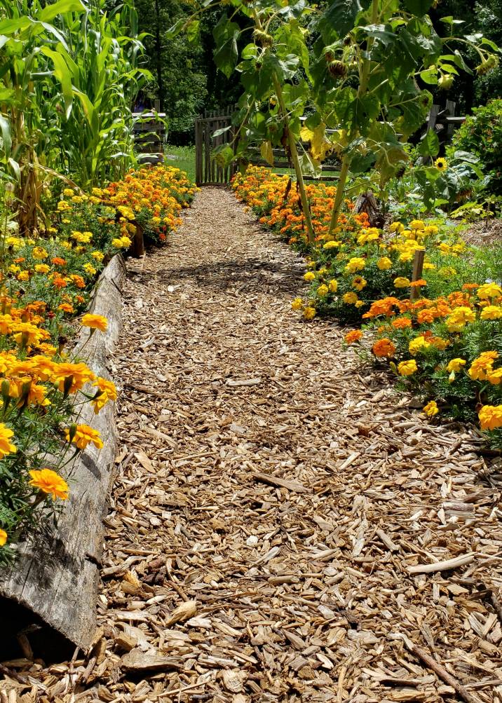 Garden Path Ideas | Airtasker US