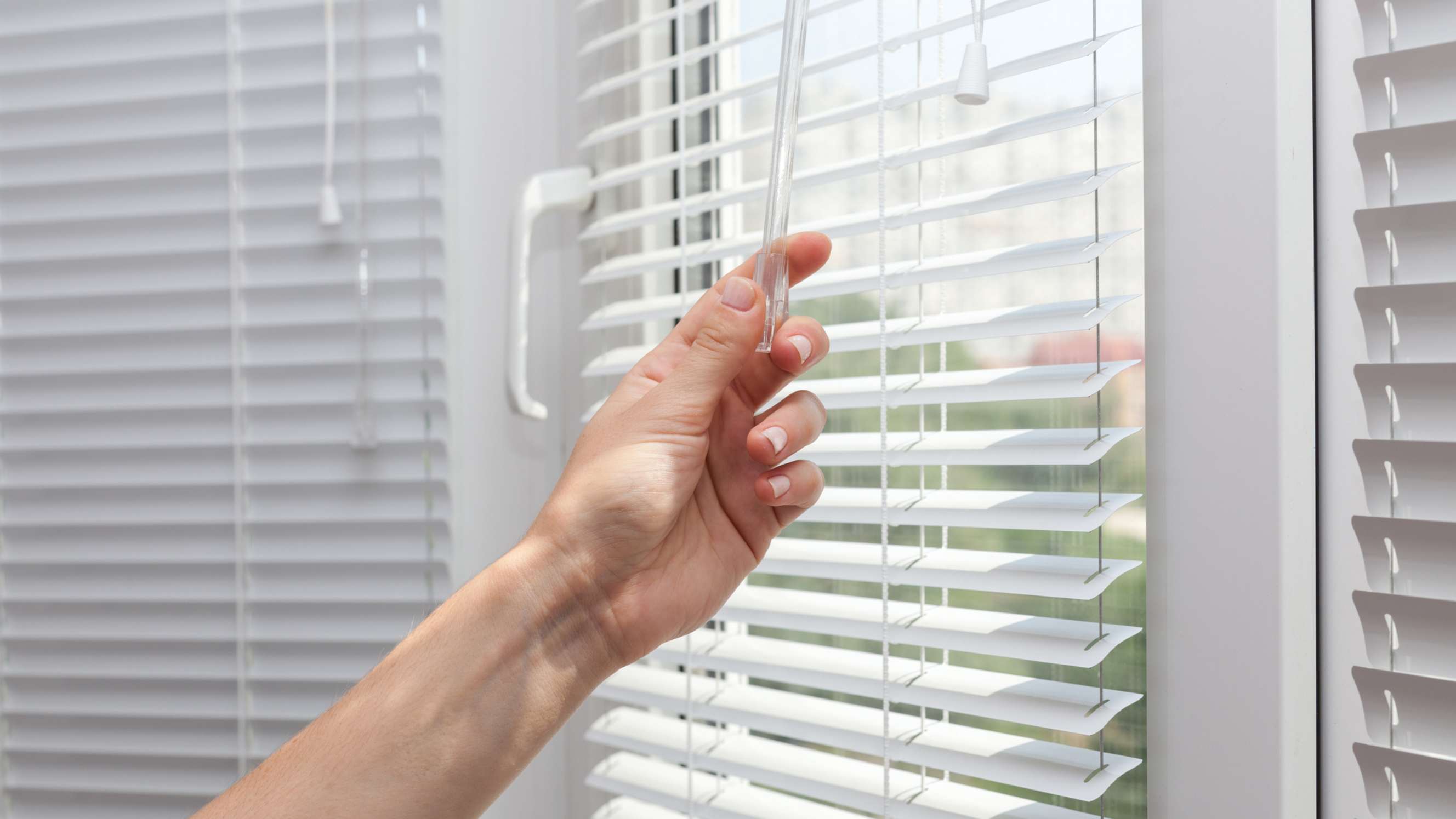 Shutters vs. Blinds: Which is Right for You? | Airtasker US