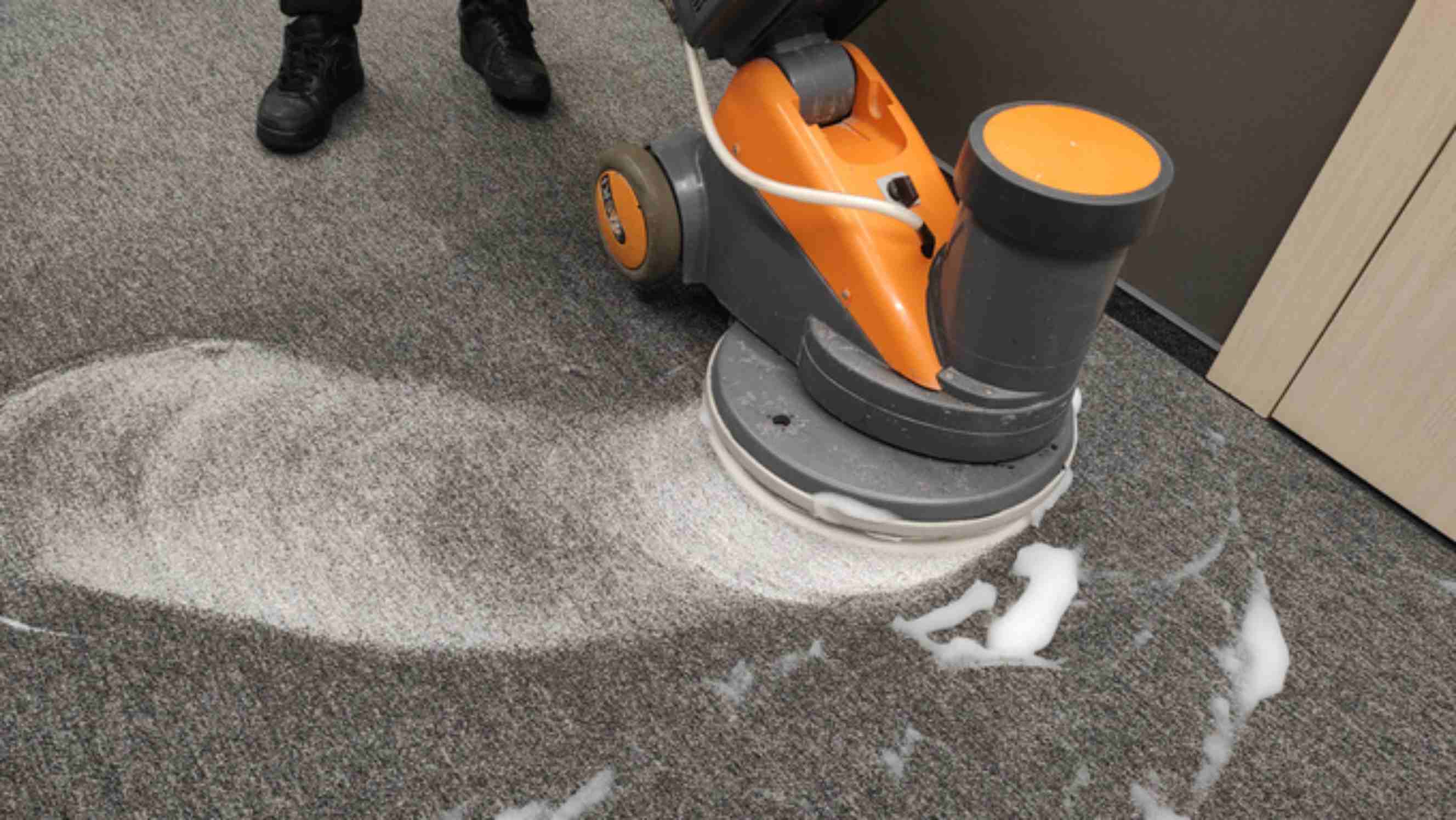 Steam Cleaning Carpets vs. Shampooing: Which One to Choose? | Airtasker US