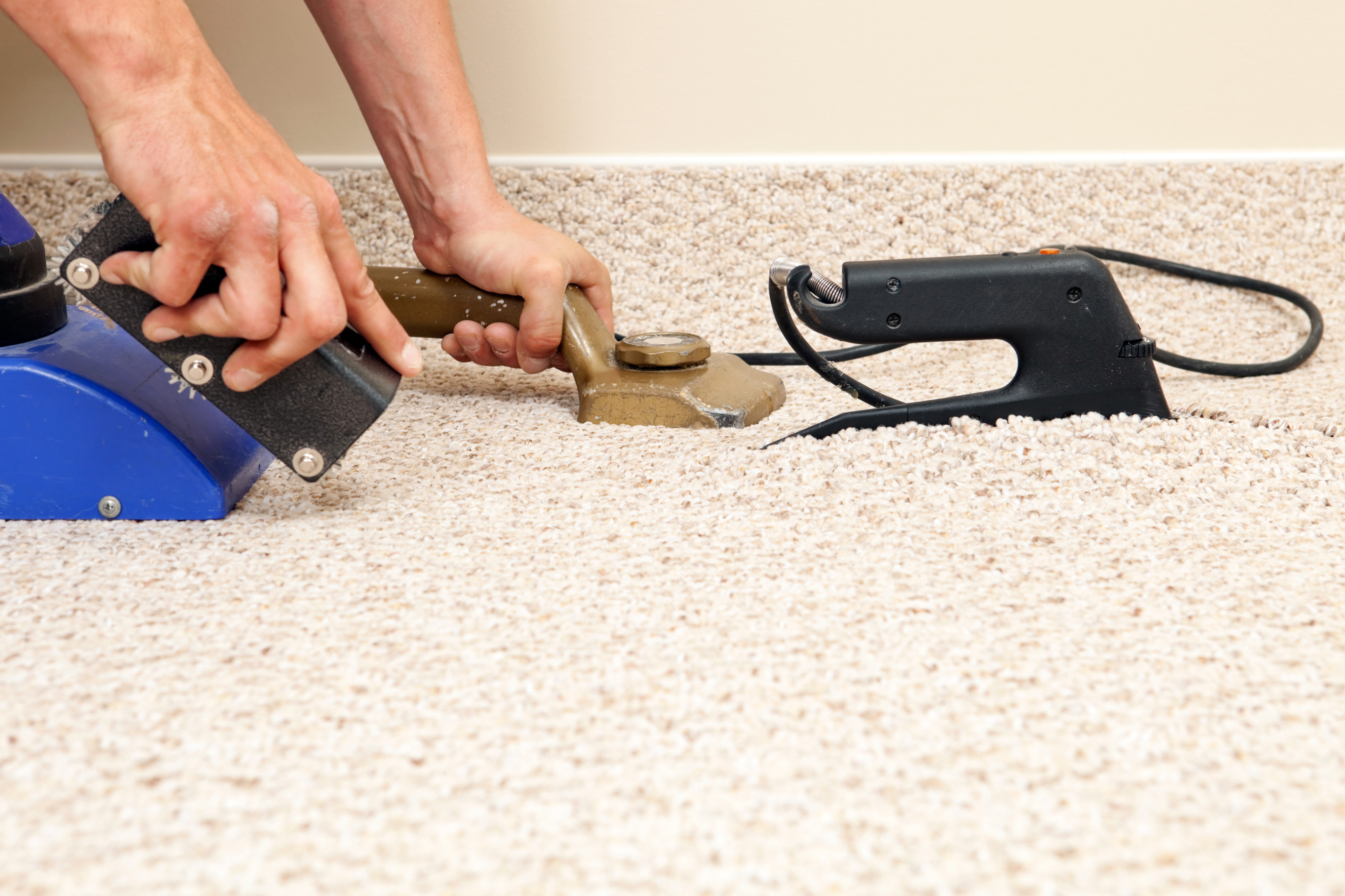 Top 10 Local Carpet Laying & Installers in Los Angeles | Airtasker US